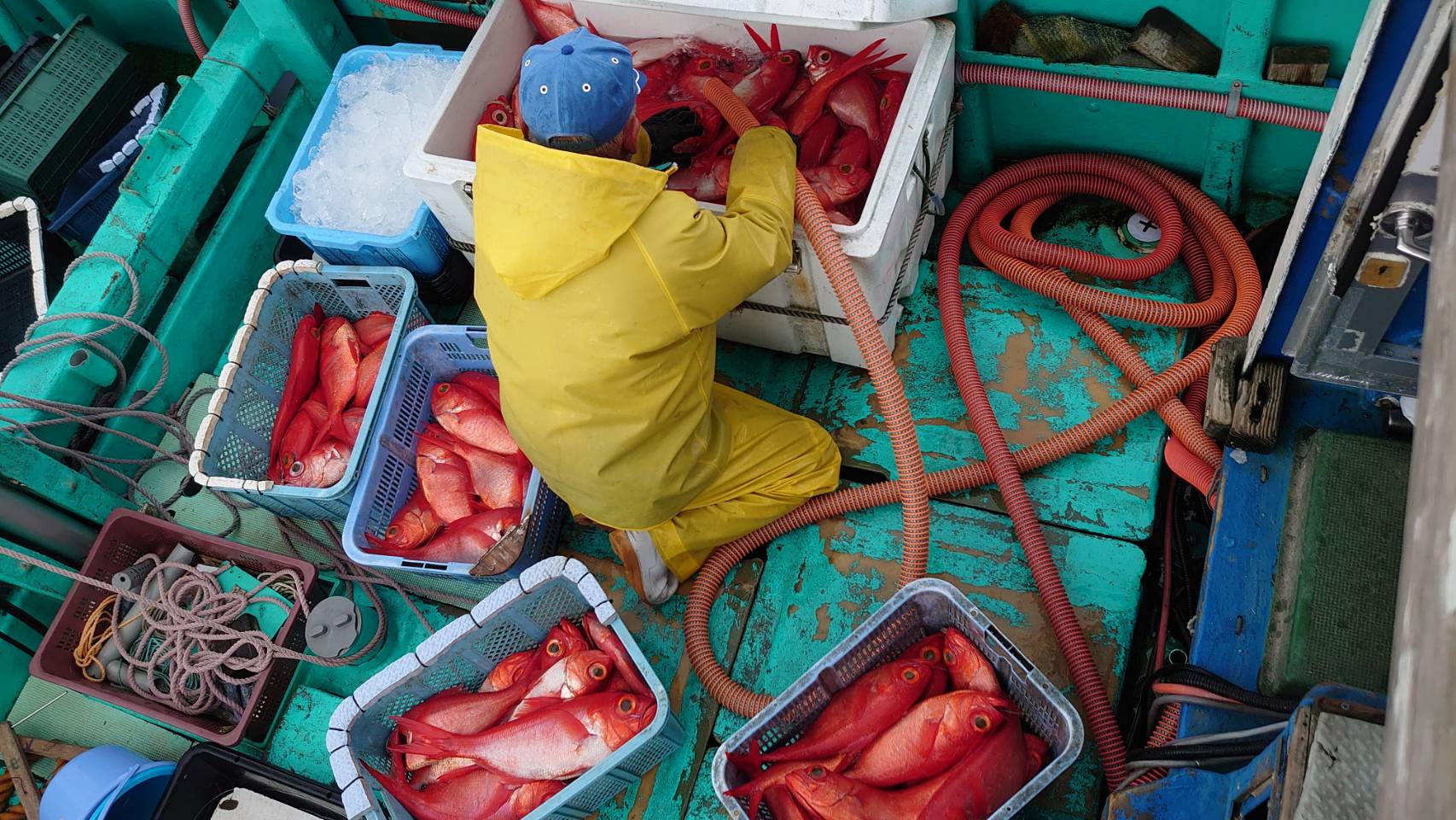 お食事(オフシーズン) | 房総外房御宿海水浴場は目の前 舟盛り お食事(オフシーズン) | 房総外房御宿海水浴場は目の前 舟盛り